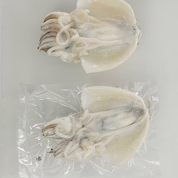 서해안 손질 갑오징어 대 300g 내외 | Quickly frozen prepared cuttlefish | sarangmartsg