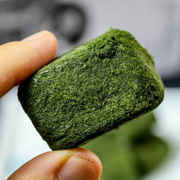 간편한 한끼식사 완도 건매생이 2g(1ea) | Wando Dry Seaweed Fulvescens | sarangmartsg